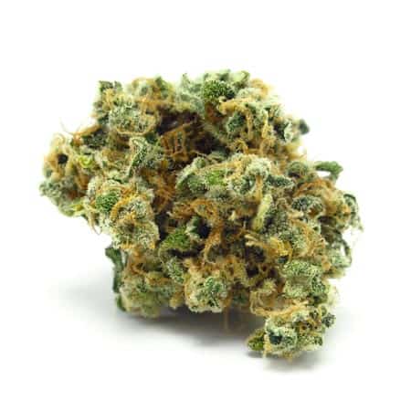 Alien Moon Pie - Acc